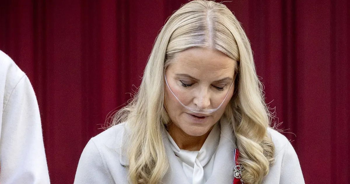 Wegen Prinzessin Mette-Marit? Organspende-Boom in Norwegen