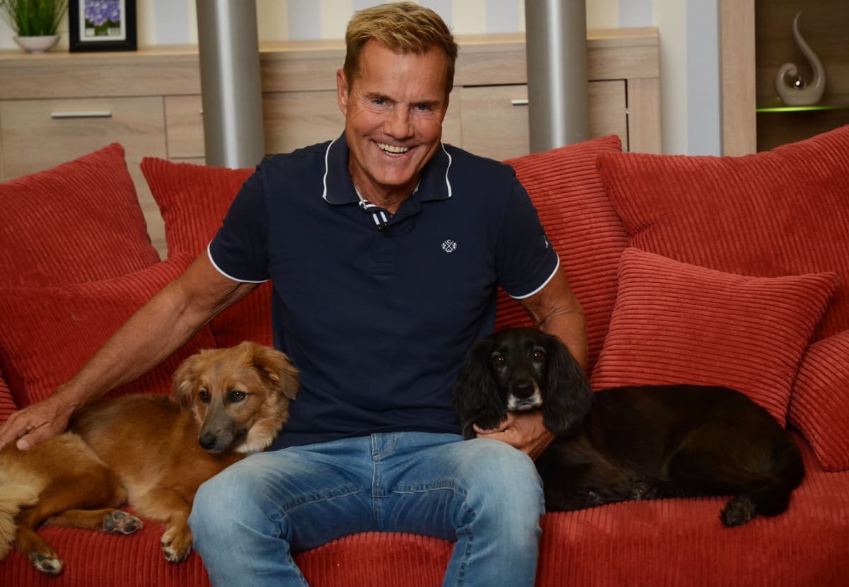 Dieter Bohlen: Private Einblicke In Seine Mallorca-Villa – NTIKL